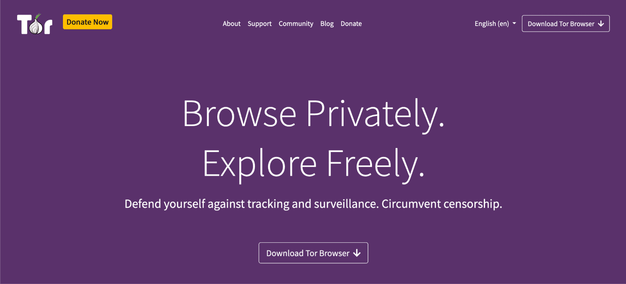 Tor vs. VPN: Explanation, Differences & Comparison